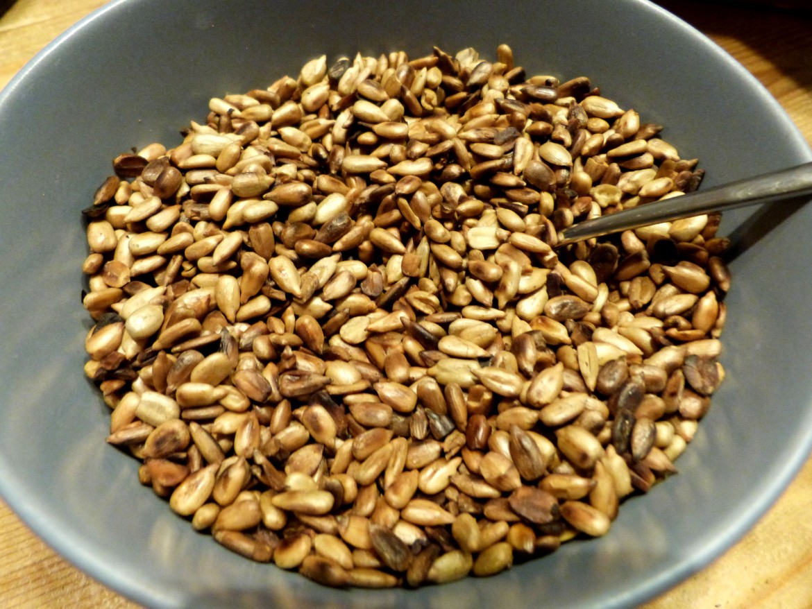 Kerne - Eine Portion Glück